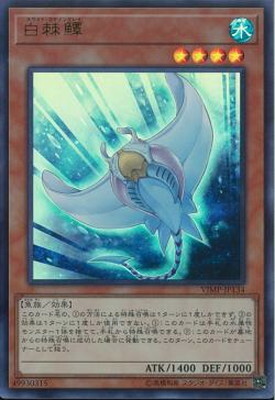 VJMP-JP134(UR)白棘鱏