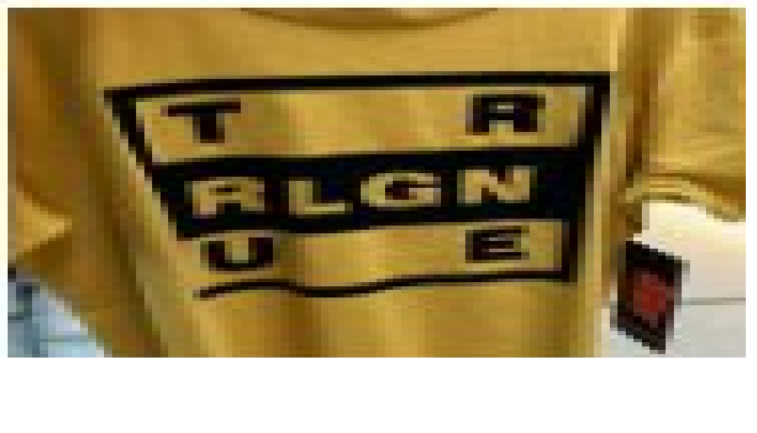 [S] TRUE RELIGION SS CUBE TRUE RLGN TEE,NARCISSCUS, 300062-NARCISSCUS ...