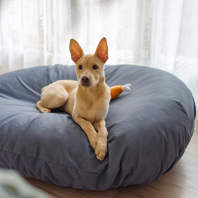 【寵物床墊/懶骨頭】Hopo｜滾滾寵物懶骨頭（M/L/XL）小中大型犬貓完美躺臥