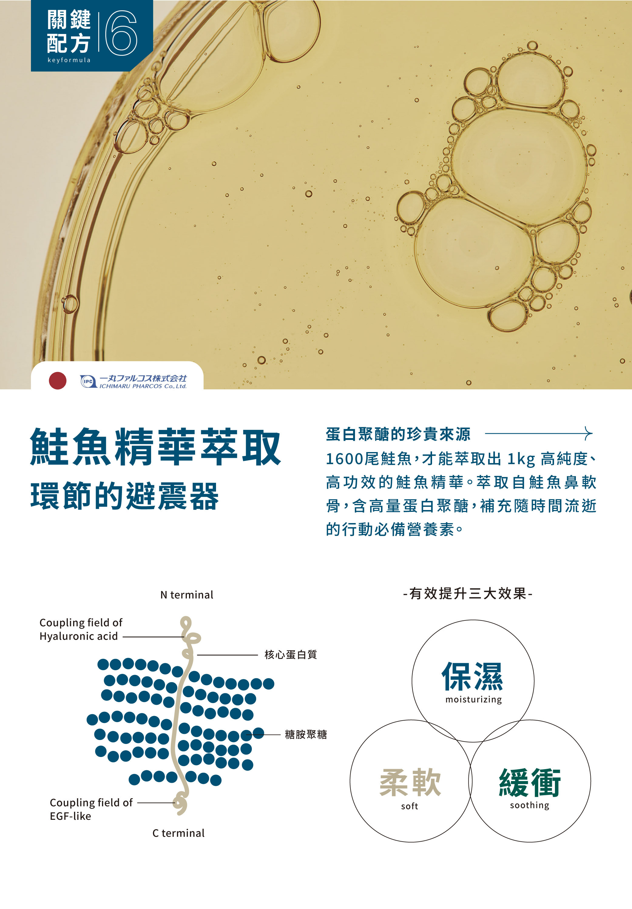 美國專利UC2(二型膠原蛋白) - VITABOX® 關鍵專科