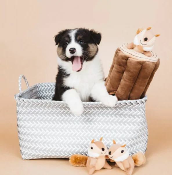 Zippy Paws - Zippy Burrow - Fox Stump