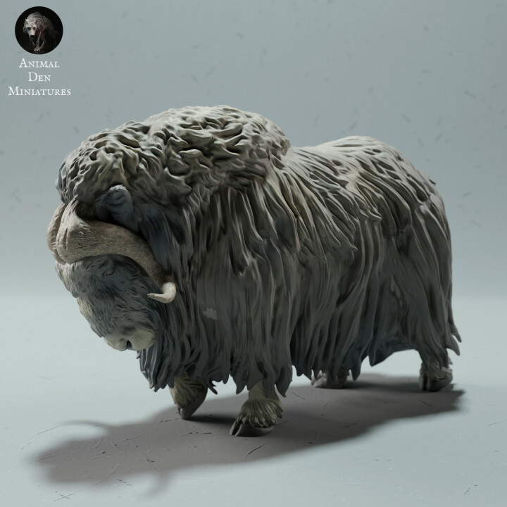 Animal Den - Musk Ox Sheep