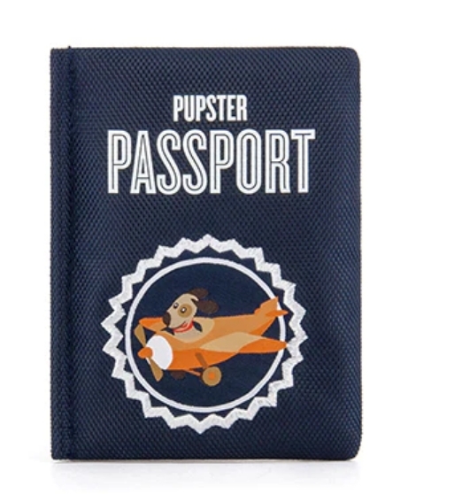 PLAY - Globetrotter Toy - Passport
