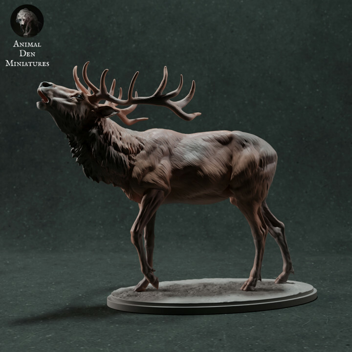 Animal Den - Red Deer Stag Call