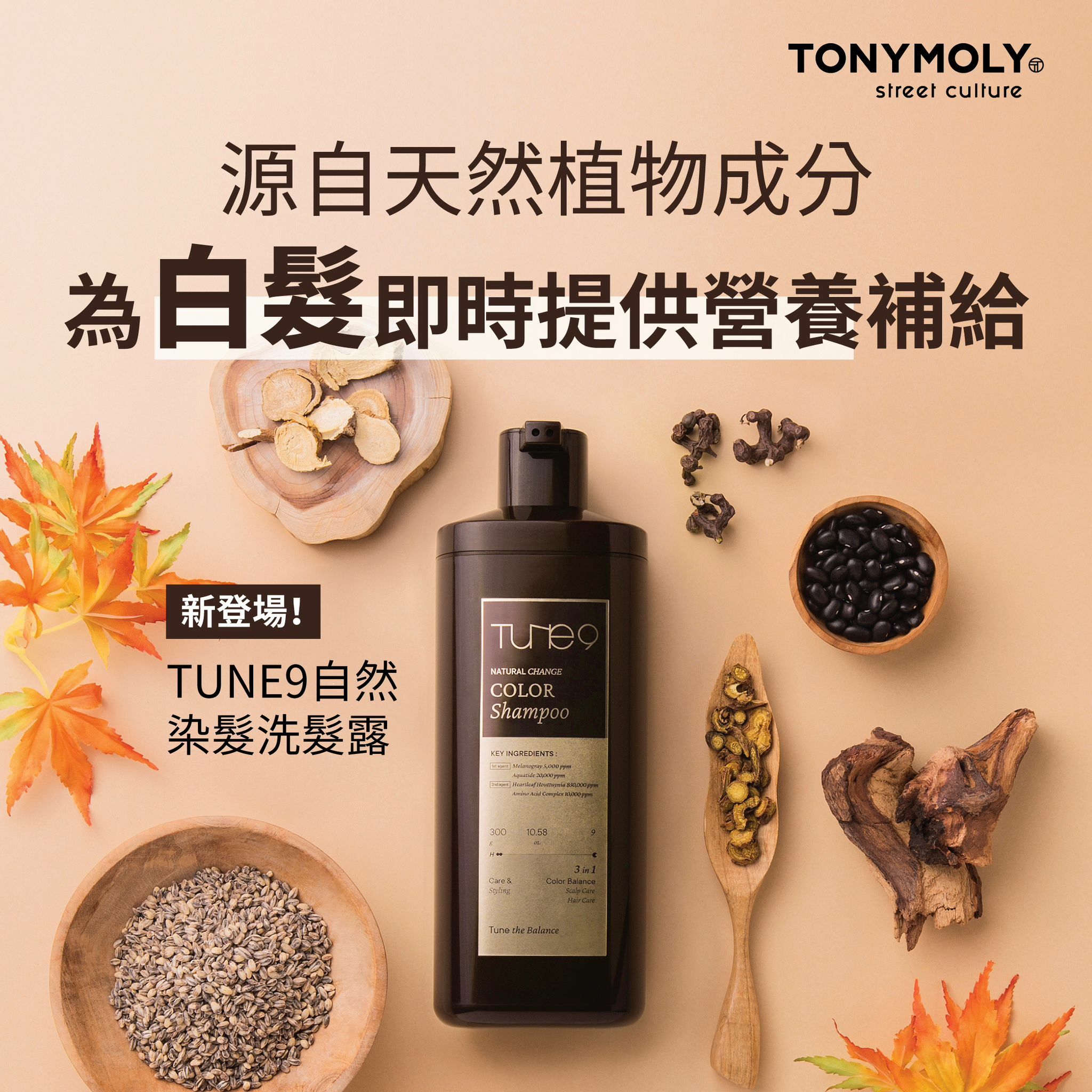 (HR00074)韓國 Tonymoly TUNE9 天然亮麗染髮洗頭水 (白髮專用) 300ml