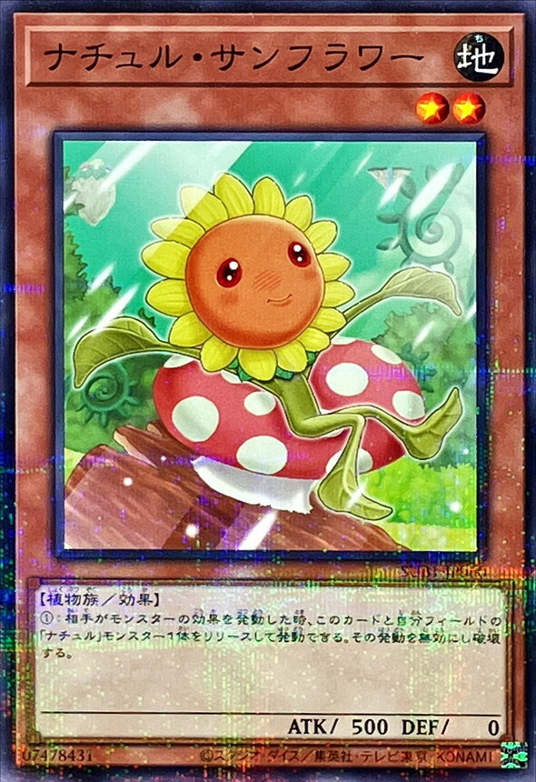 SUB1-JP0??(NPR)自然向日葵