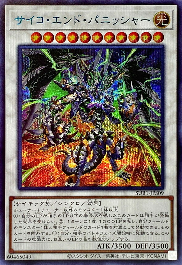 SUB1-JPS09 サイコ・エンド・パニッシャー