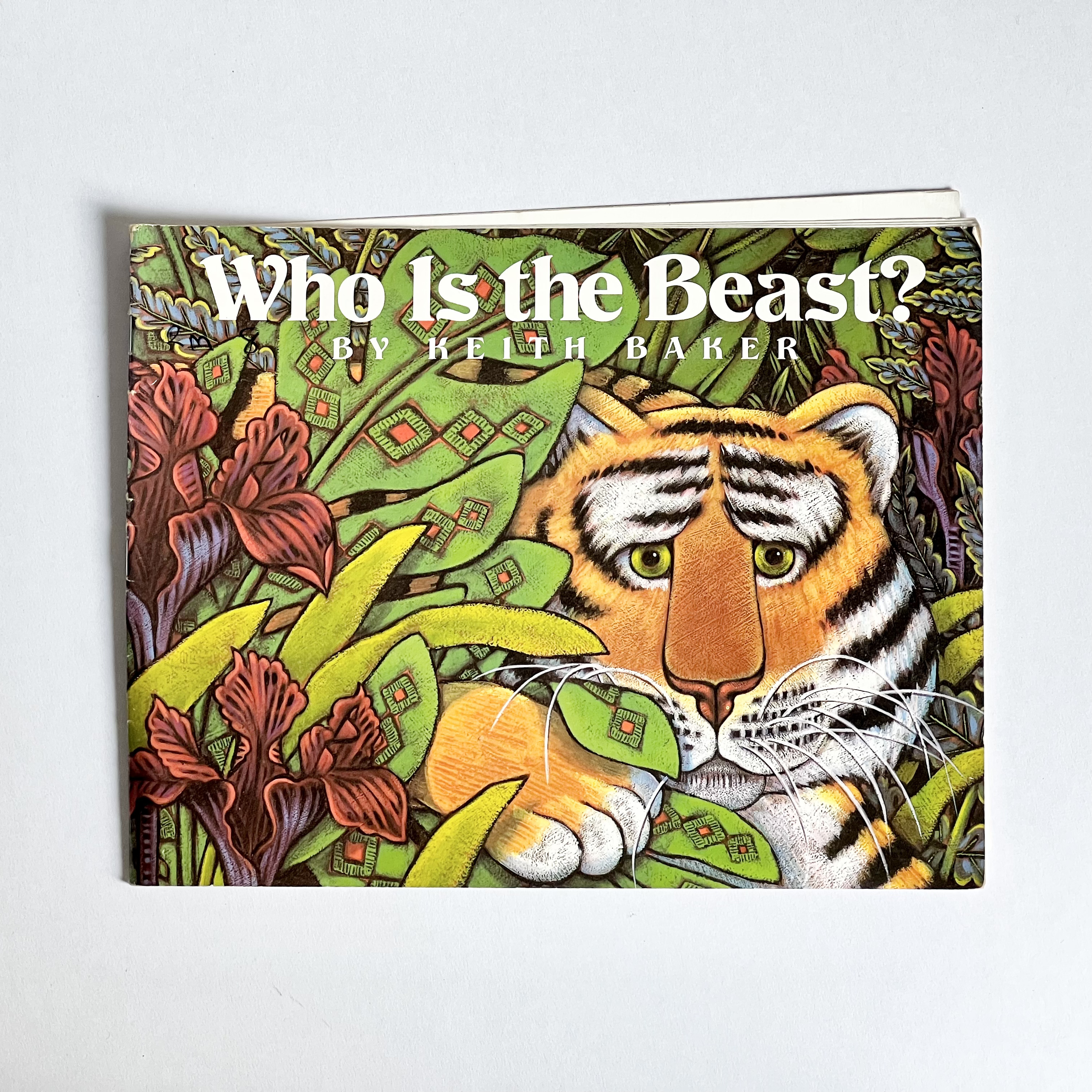 平裝英文童書 Who Is The Beast?