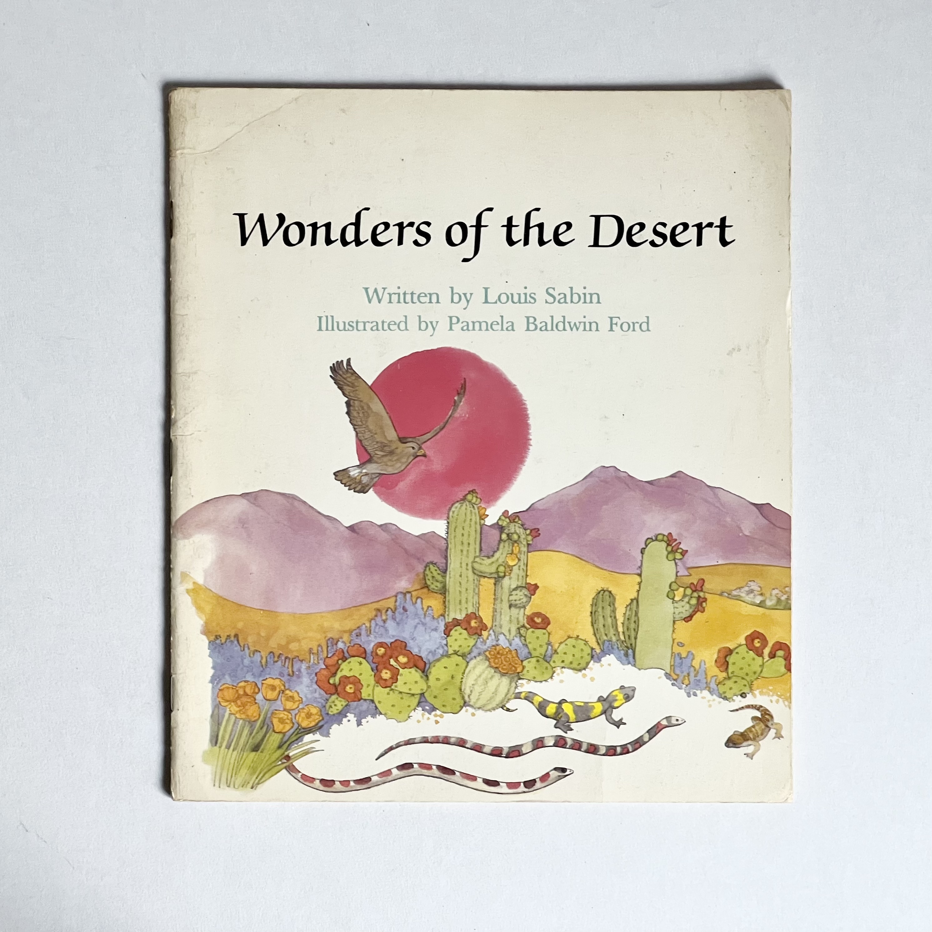 平裝英文童書 B｜Wonders Of The Desert