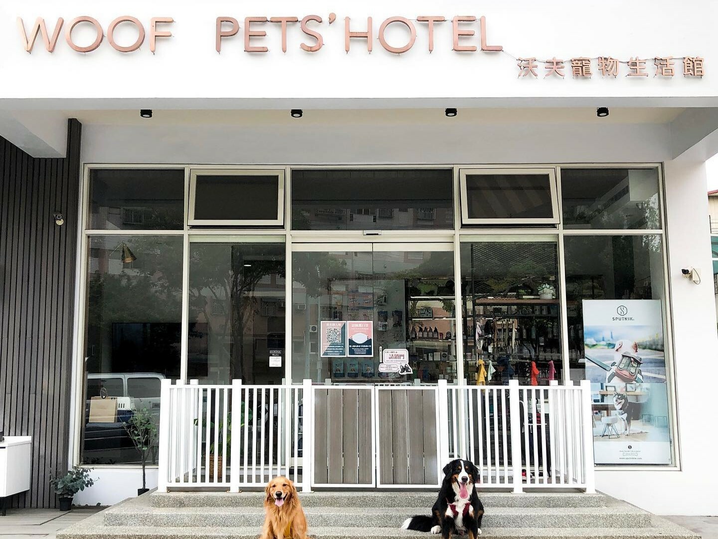 艾芙樂、草本泥｜中區寵物美容店家－afpet