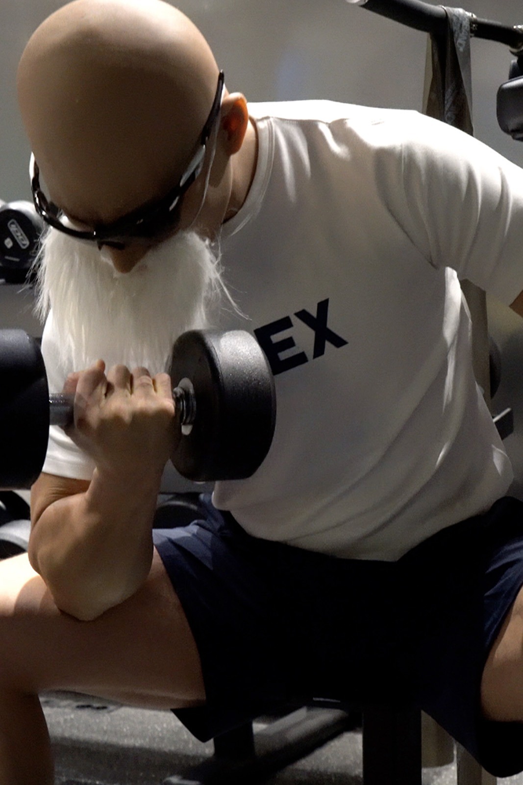 HDEX PHYSICAL GALLERY Muscle Fit Short Sleeve