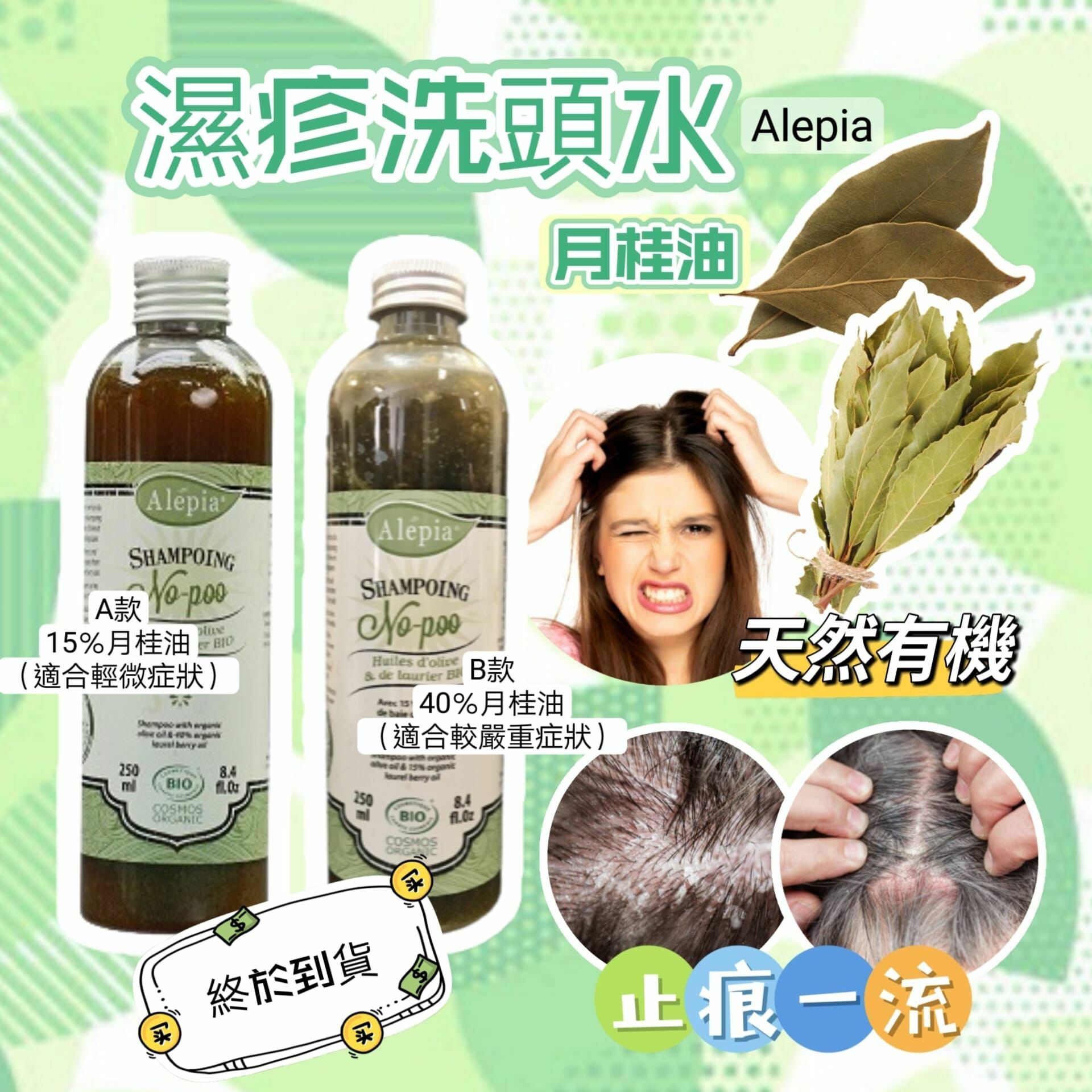 Alepia no-poo 濕疹洗頭水 (250ml)