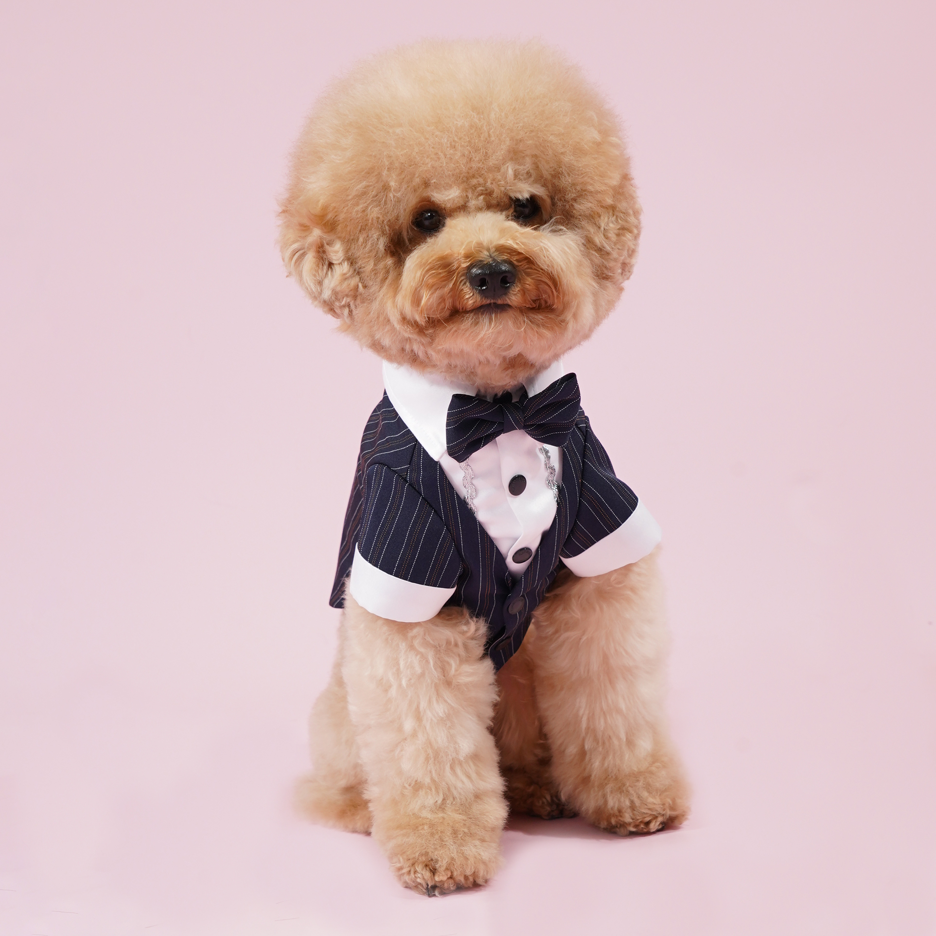 Dark Blue Striped Tailcoat Tuxedo