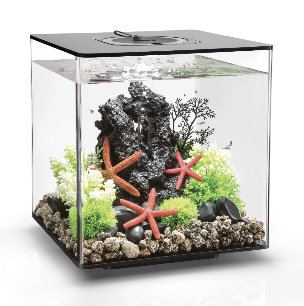 BIORB CUBE AQUARIUMS