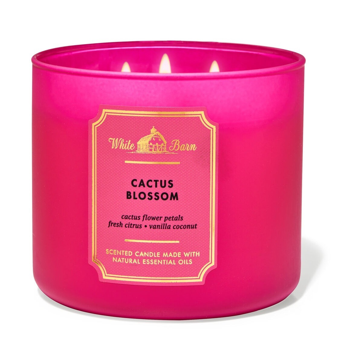 Bath & Body Works 3-Wick Candle - Cactus Blossom