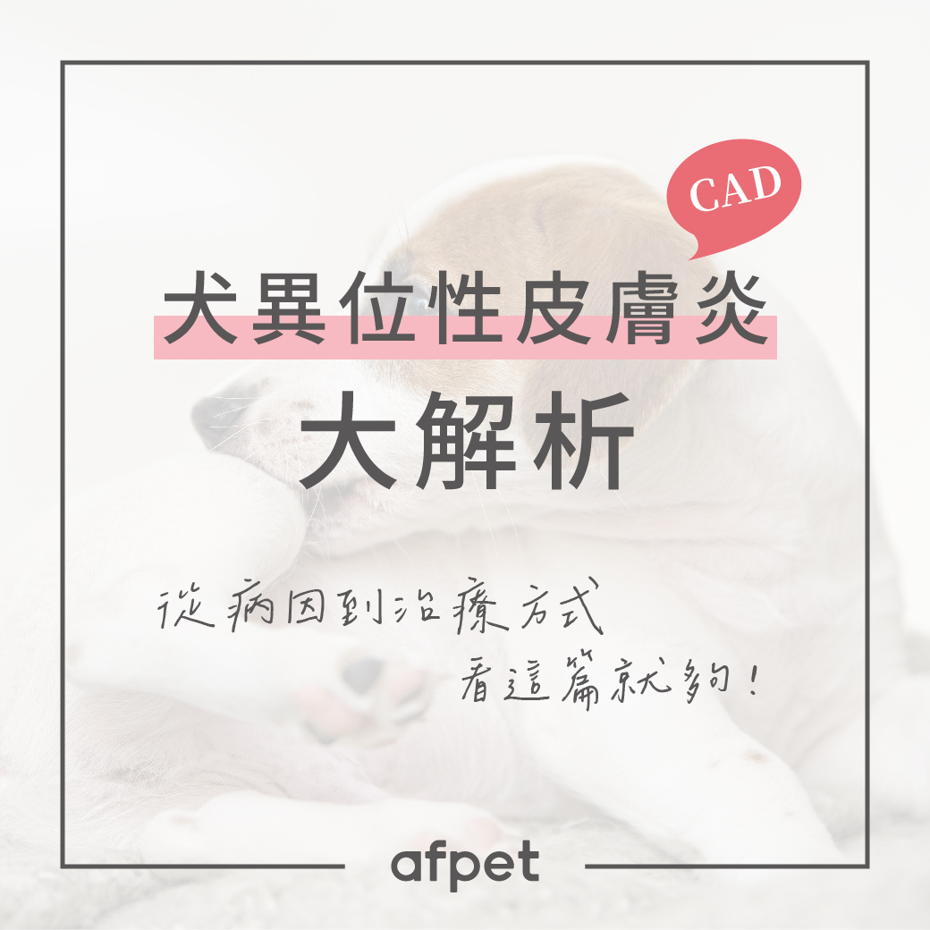 寵知識－afpet