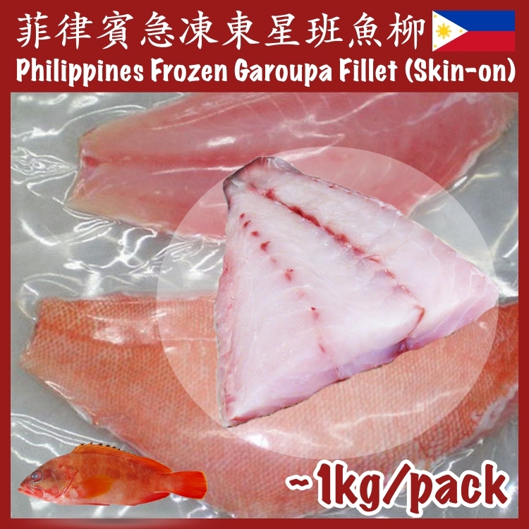 Philippines Frozen Garoupa Fillet (Skin-on), around 1k