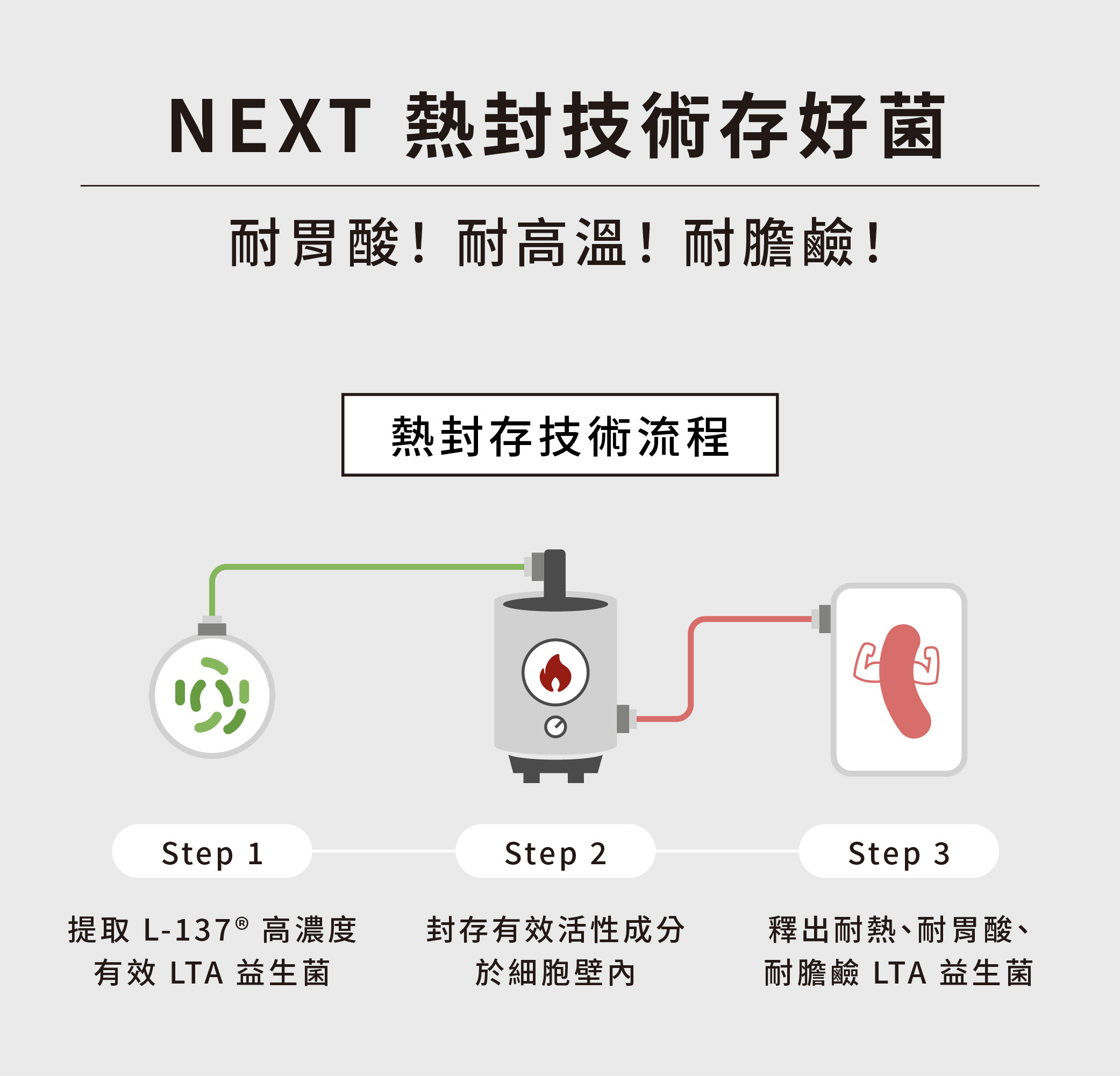 【免疫專科】日本 L-137® 專利植物乳酸菌(免疫調節+輔助調節過敏體質) VITABOX®