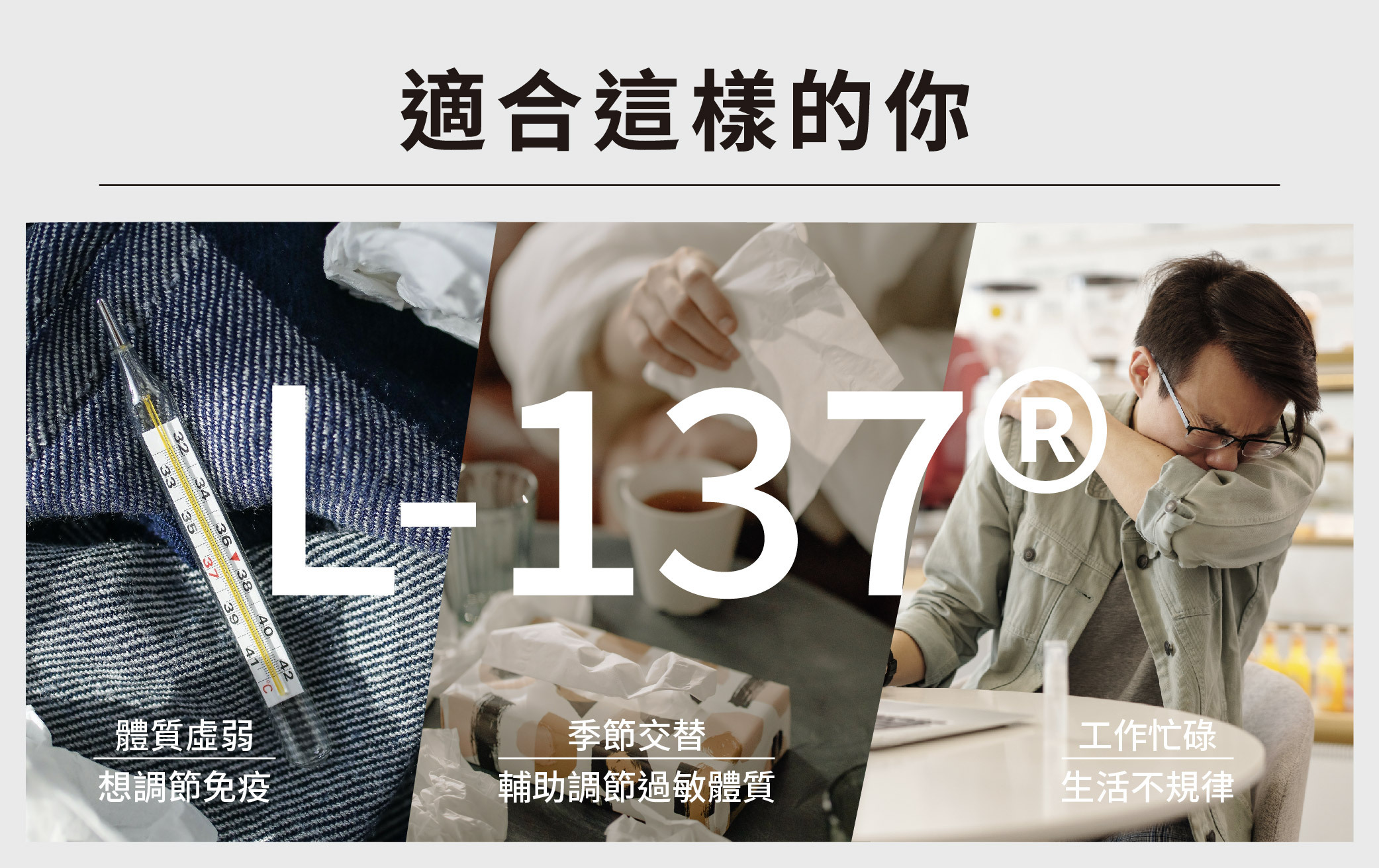 【免疫專科】日本 L-137® 專利植物乳酸菌(免疫調節+輔助調節過敏體質) VITABOX®