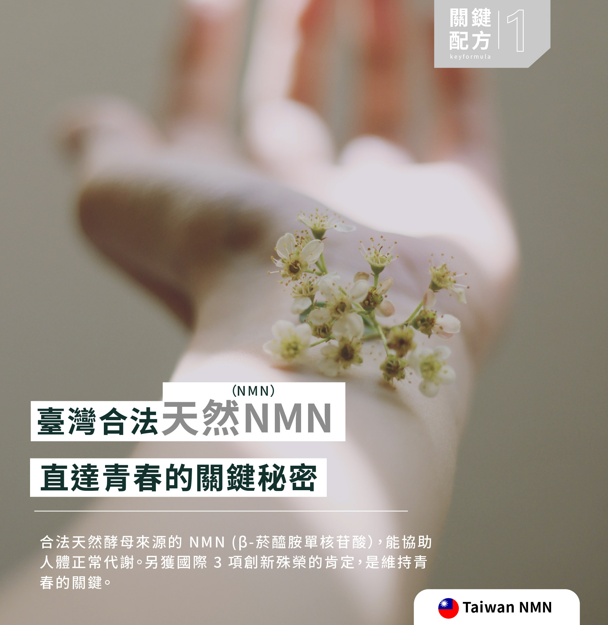 【青春專科】VITABOX® 專利天然酵母NMN+日本專利谷胱甘肽+西印度櫻桃C