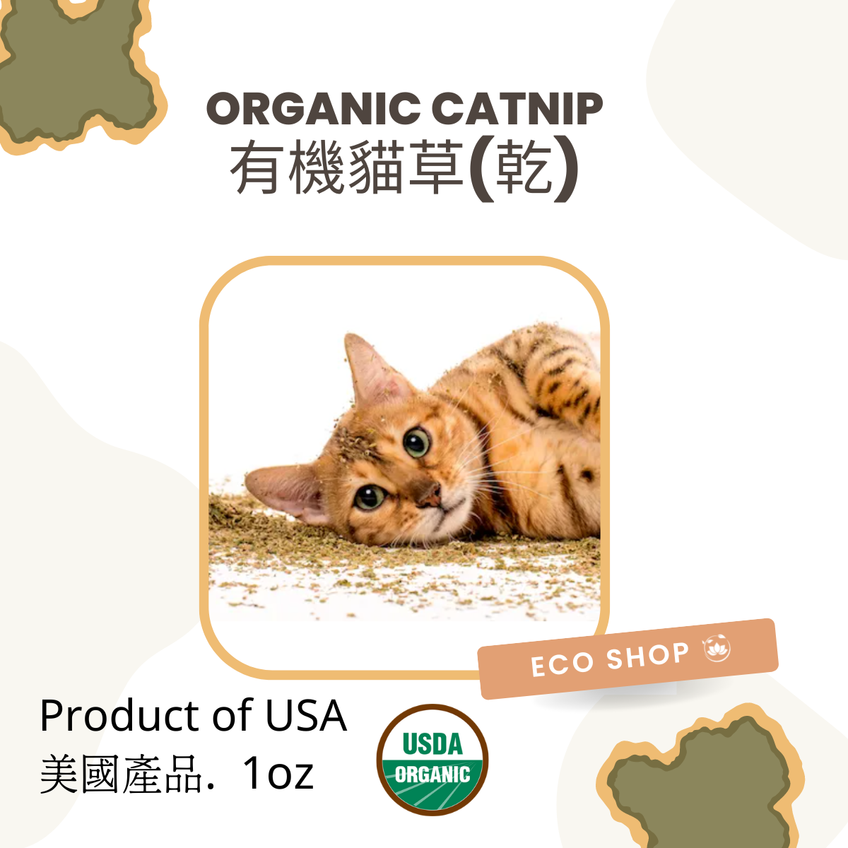 Organic Catnip - HK Eco Shop