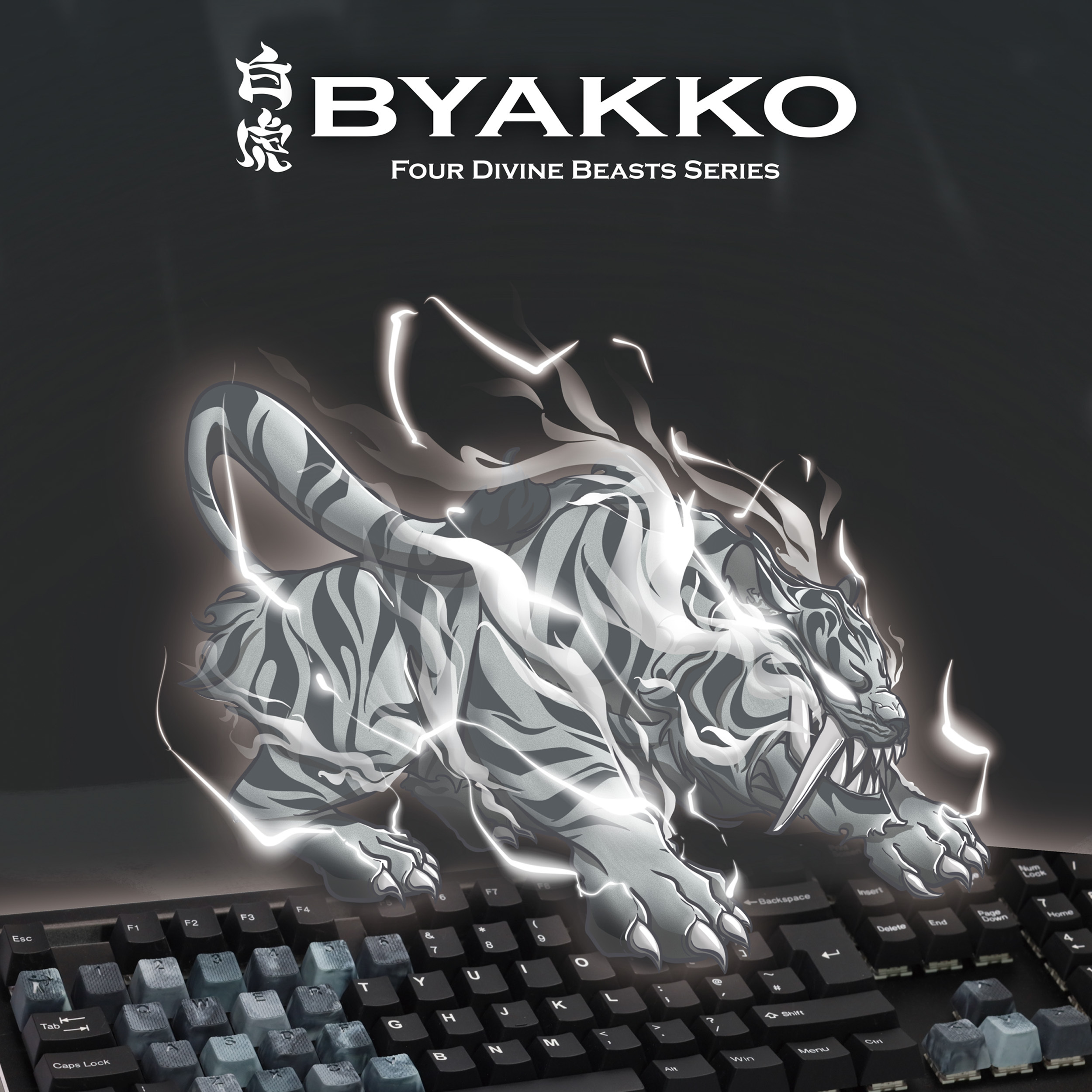 Tai-Hao Rubber Gaming Keycap Set,Rubber Keycaps,Taihao