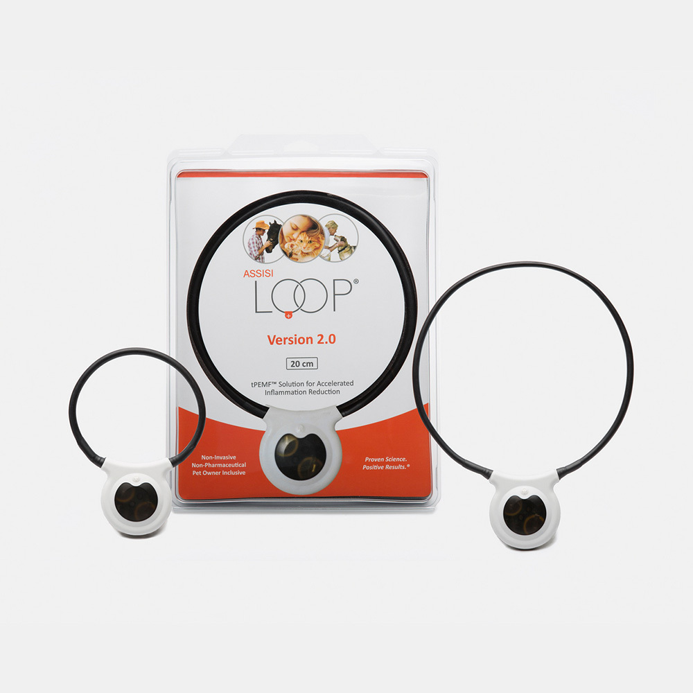 ASSISI LOOP® 脈衝電磁項圈20cm 中大型犬貓適用 - 居家照護