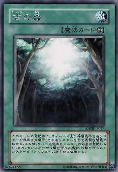 ANPR-JP048( R ) 古之森