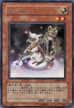 ANPR-JP031( R ) 魔法貓