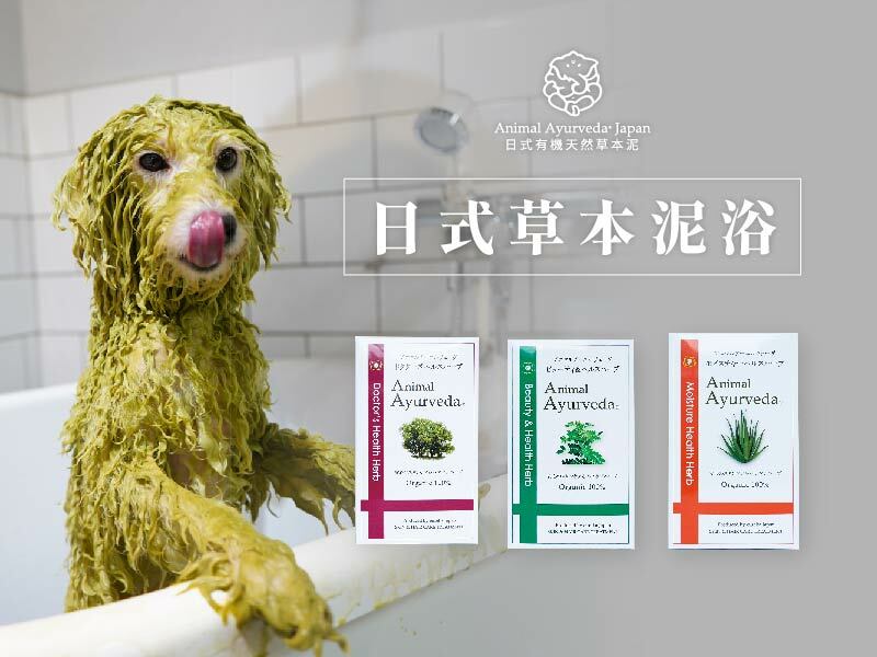 afpet - All For Pet. 寵物精品國際代理