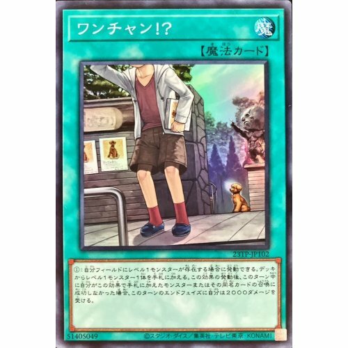 23TP-JP102(SR) 汪分之一機會！？