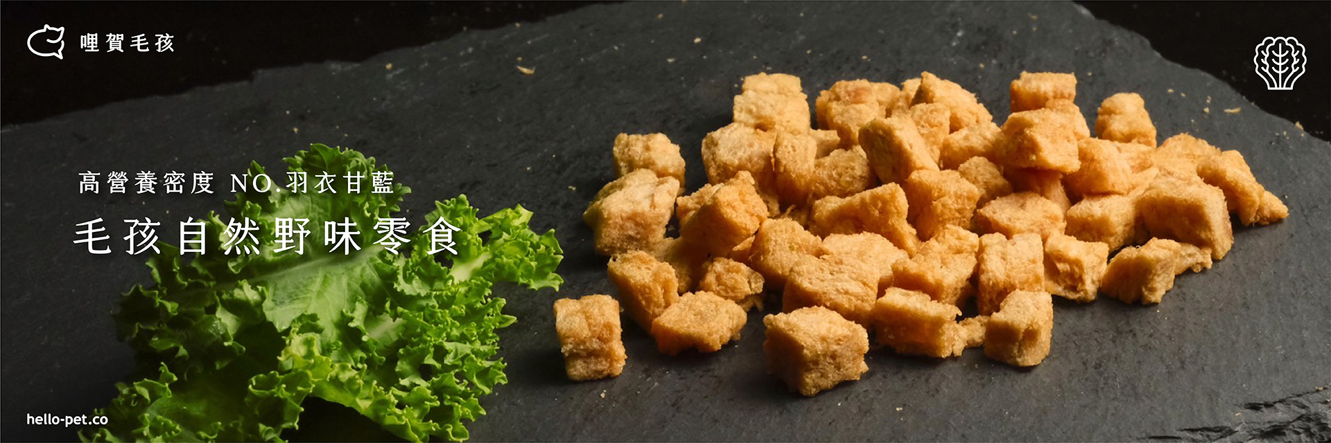 哩賀毛孩hello pet｜首頁