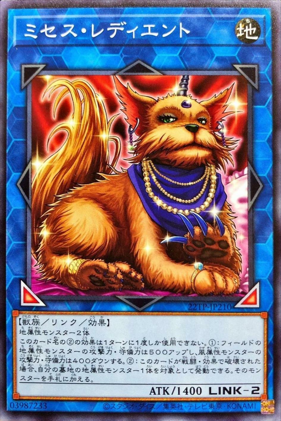 22TP-JP210 貴婦金毛犬