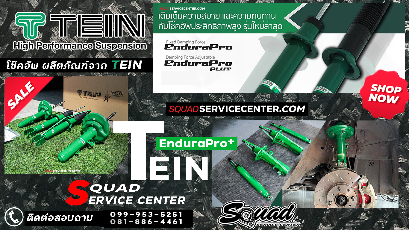 TEIN Endura Pro Plus