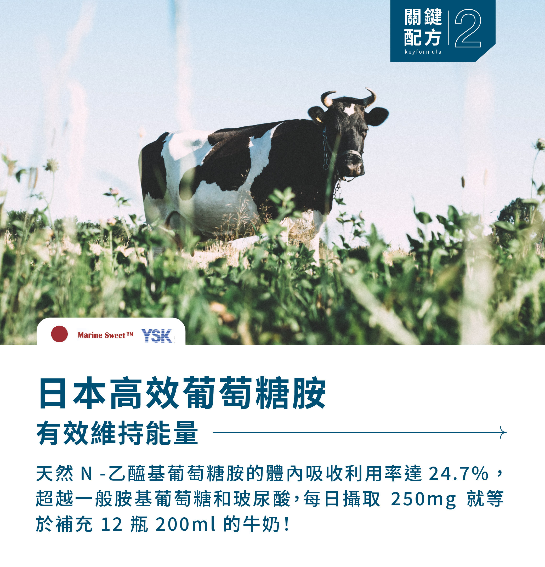 美國專利UC2(二型膠原蛋白) - VITABOX® 關鍵專科