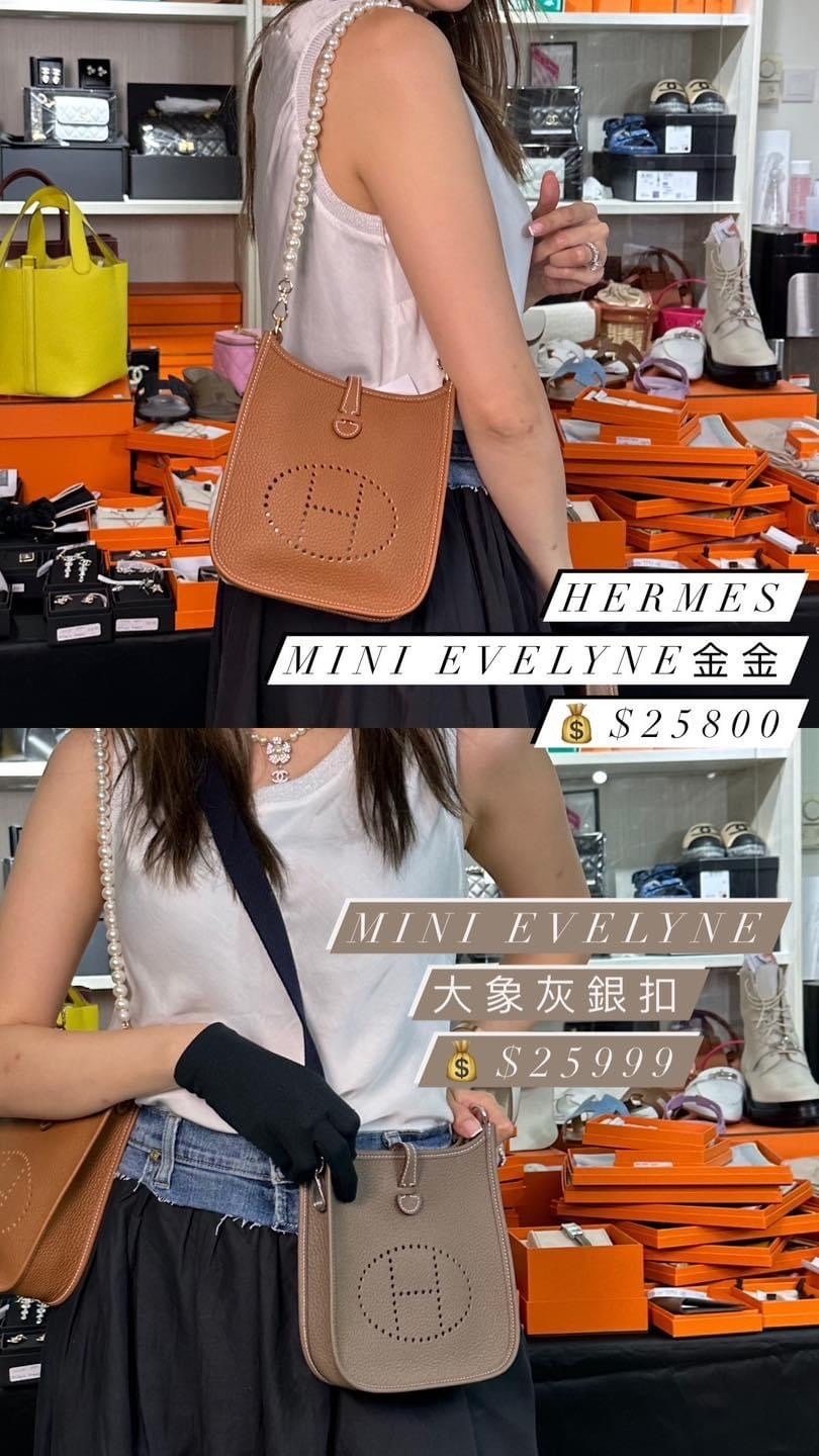 Mini Evelyn gold gold -M