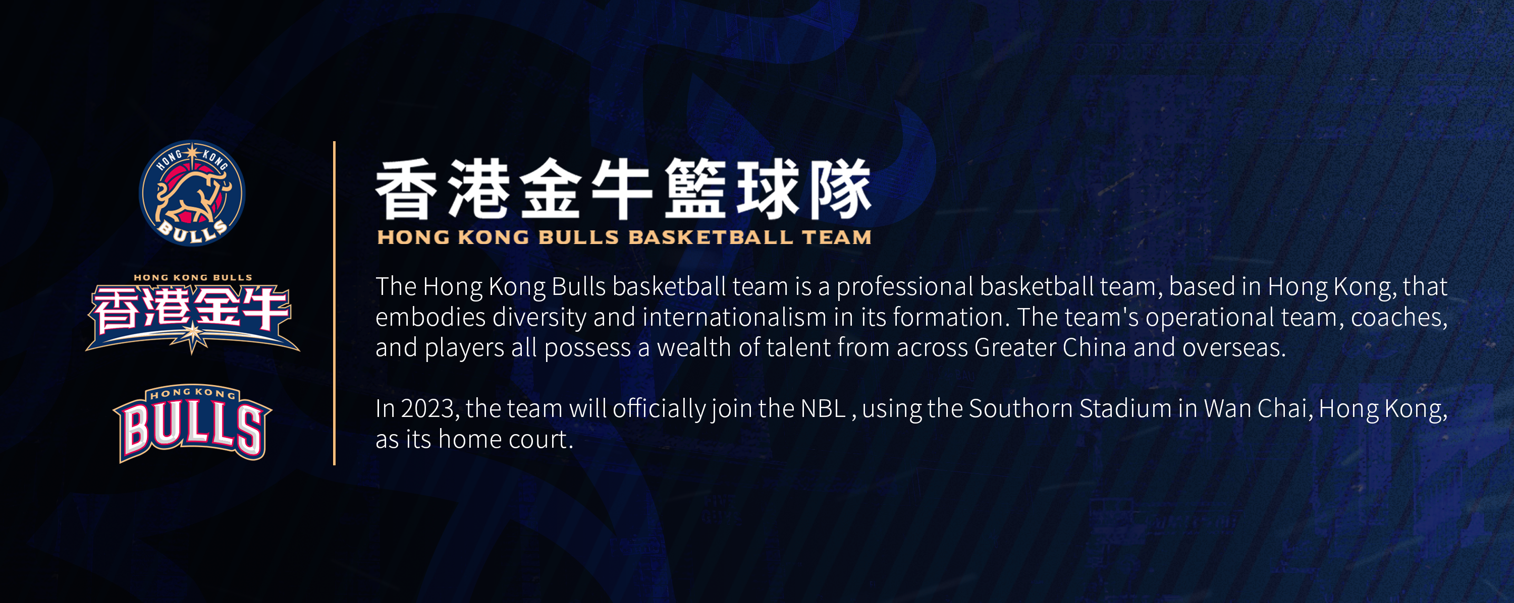 關於金牛 | 香港金牛籃球隊