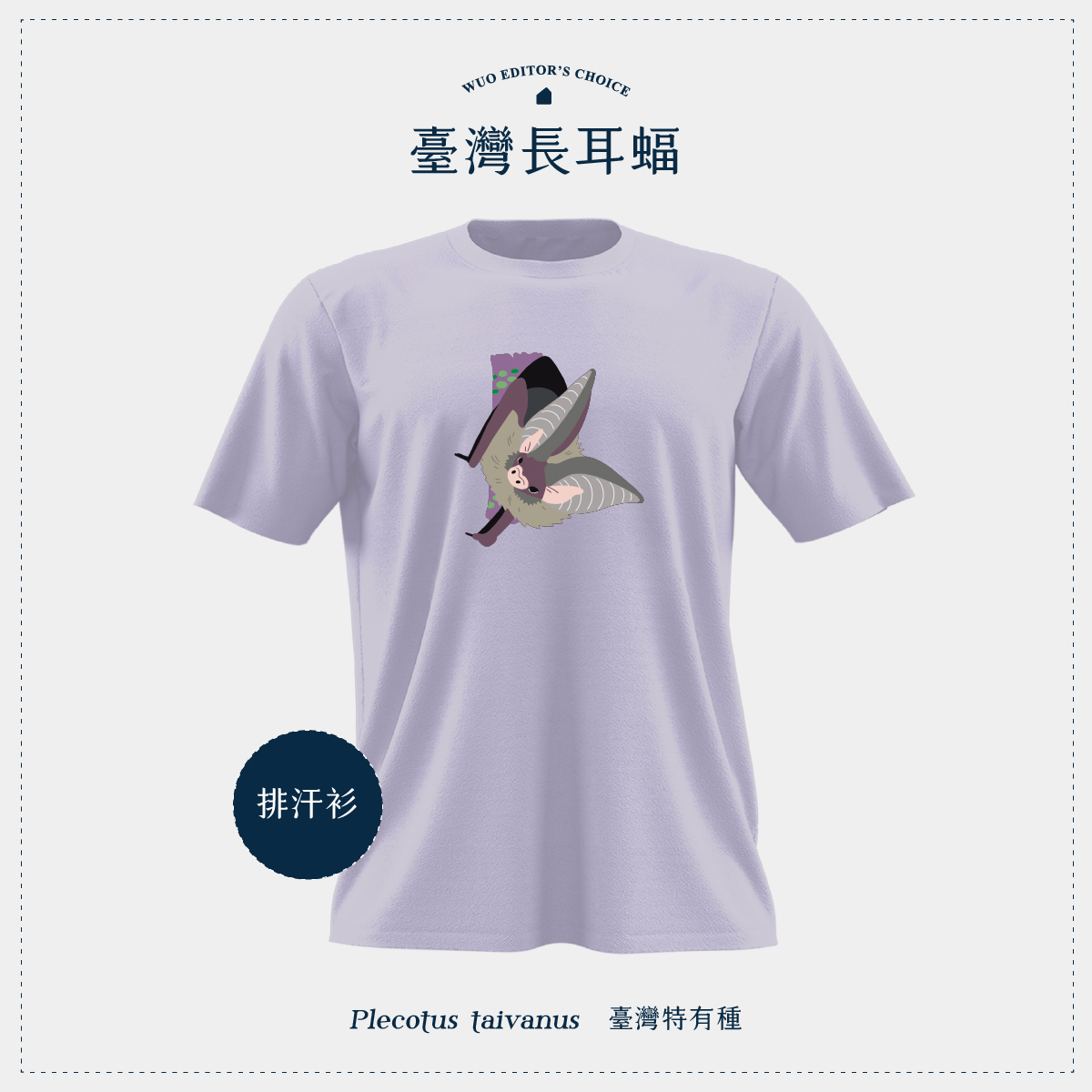 臺灣長耳蝠｜Plecotus taivanus｜台灣特有種排汗衫（淡紫）