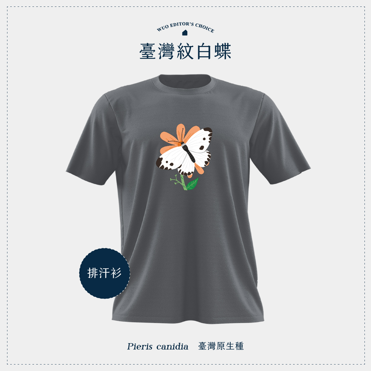 臺灣紋白蝶｜Pieris canidia｜台灣原生種排汗衫（深灰）