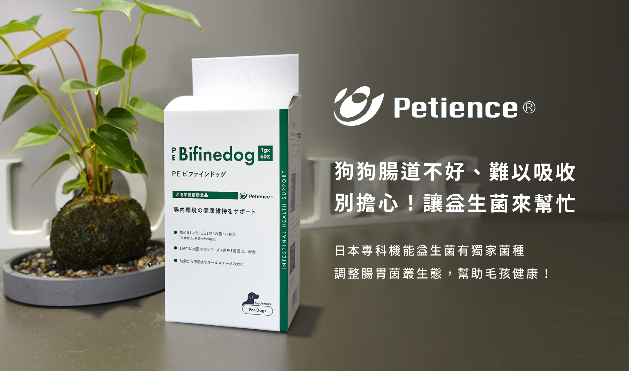 腸胃保健－afpet