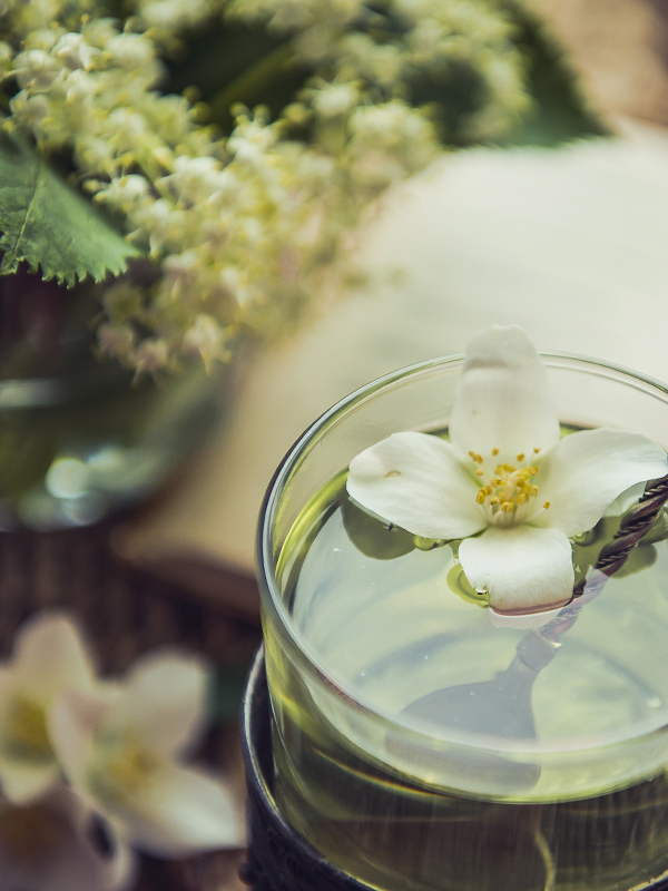 White Jasmine & Mint (JM Type)