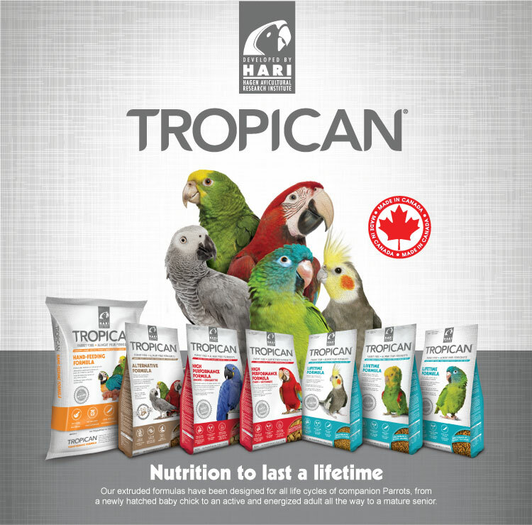 Tropican Bird Food