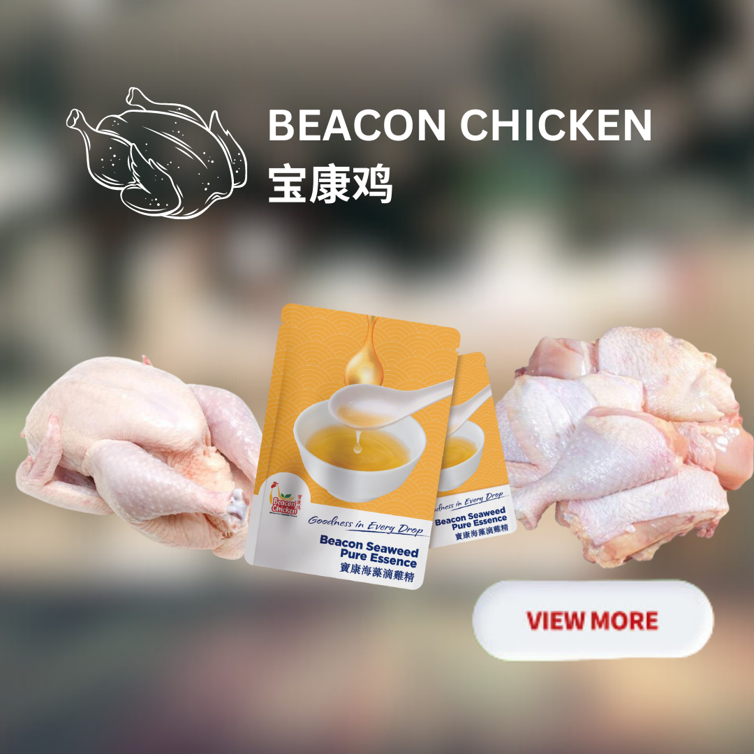 BEACON CHICKEN 宝康鸡