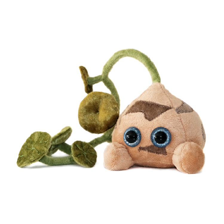 Bio_ogist - Stephania erecta