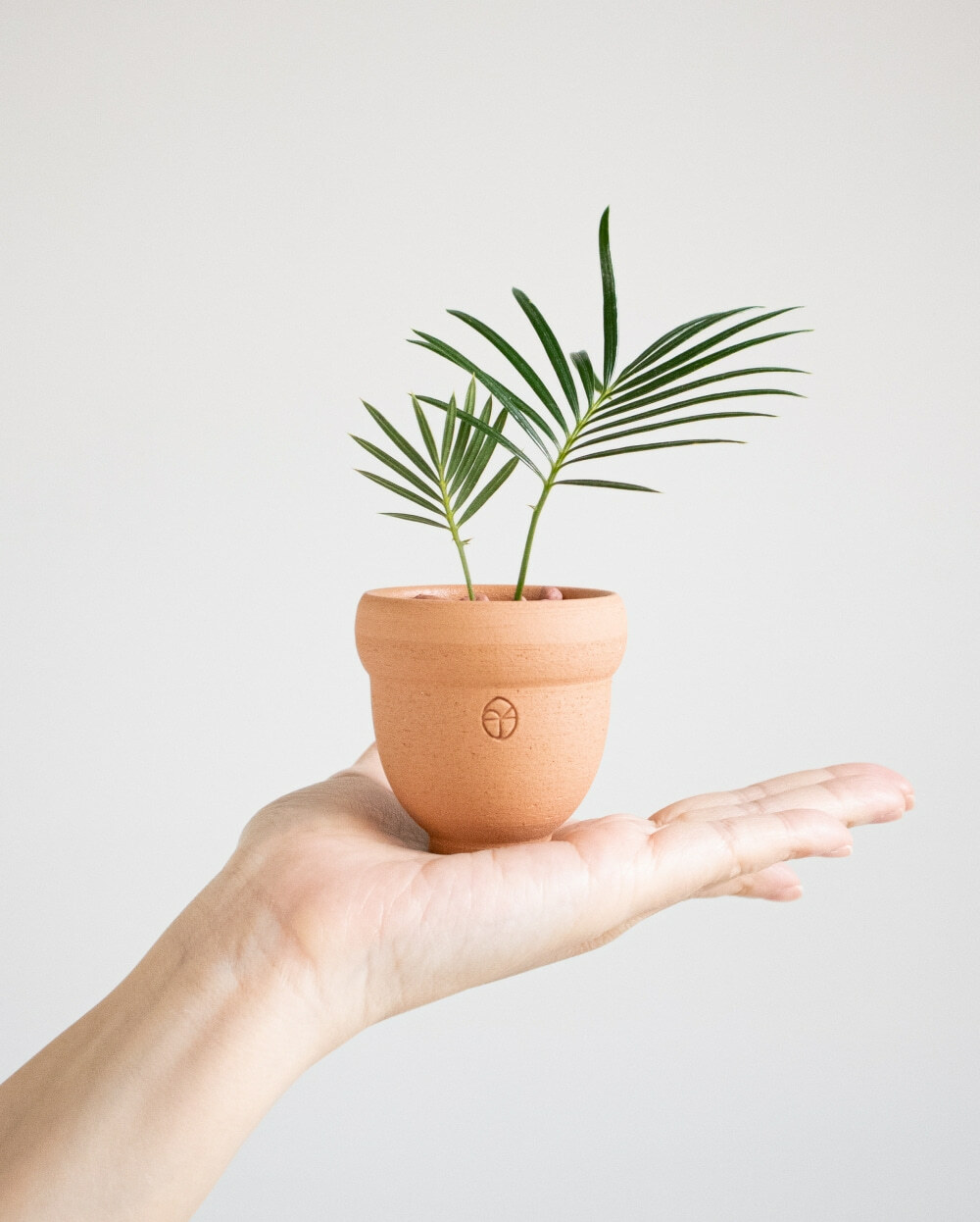 Sprout BE NATURAL | Nut pot At hallohütte