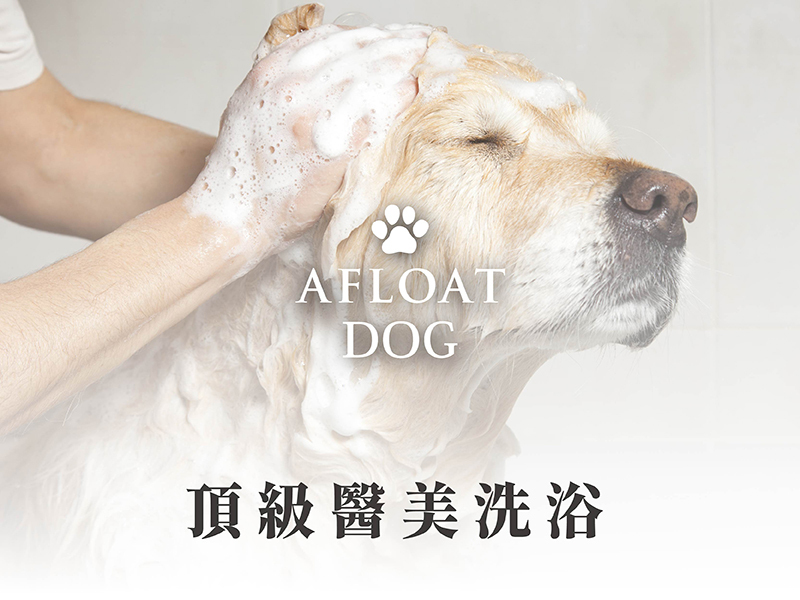 afpet - All For Pet. 寵物精品國際代理