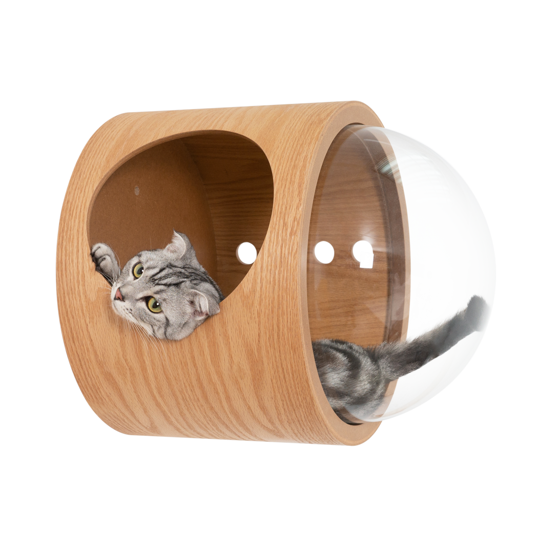 MYZOO 牆上太空艙 GAMMA 橡木