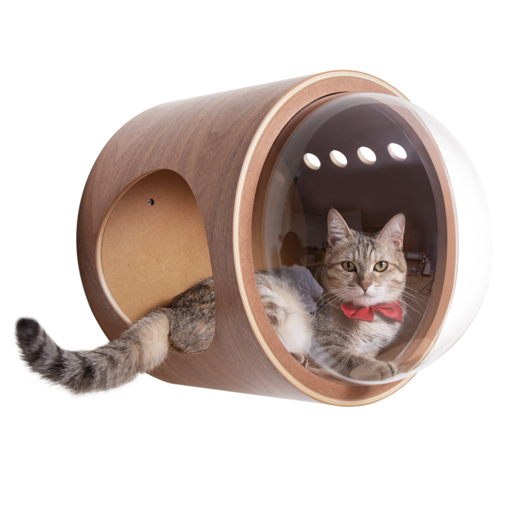 MYZOO 牆上太空艙 GAMMA 胡桃木