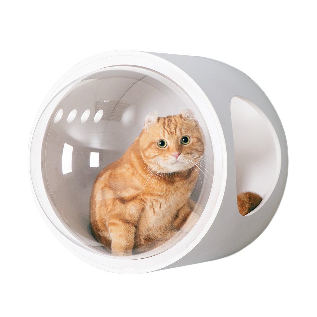 MYZOO Spaceship Gamma White