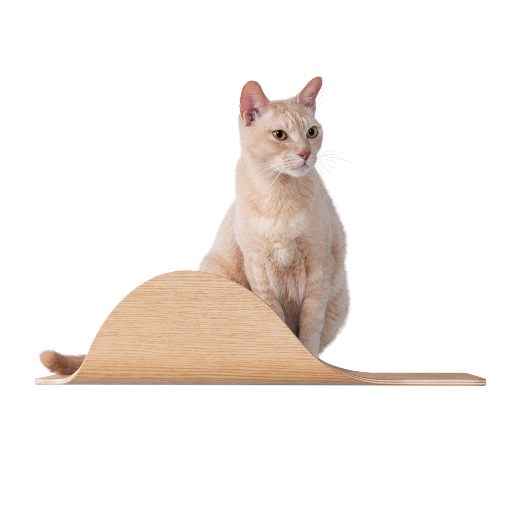 MYZOO 魟魚貓跳台Stingray